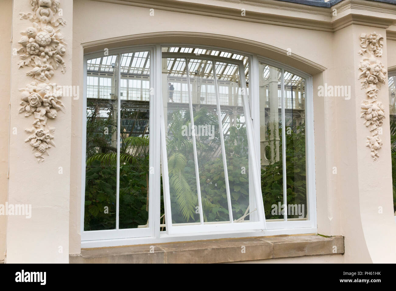 New glazing wooden / wood / timber replacement glazed windows in the ...