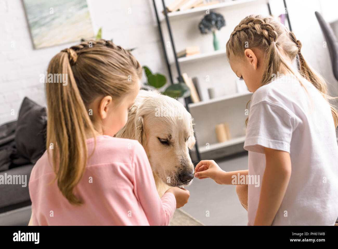 Family feeding dog treats hi-res stock photography and images - Alamy
