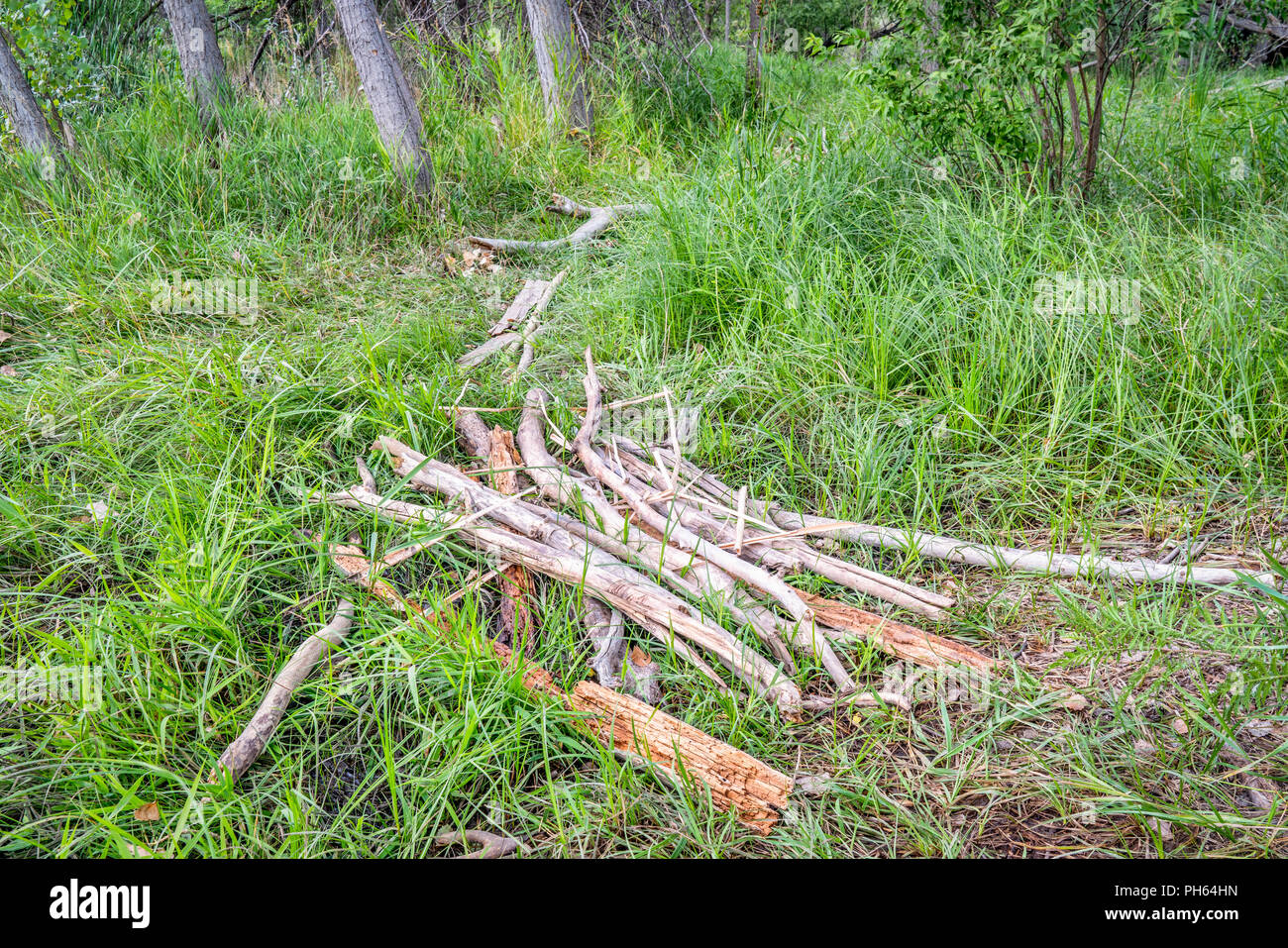 Primitive trail hi-res stock photography and images - Alamy