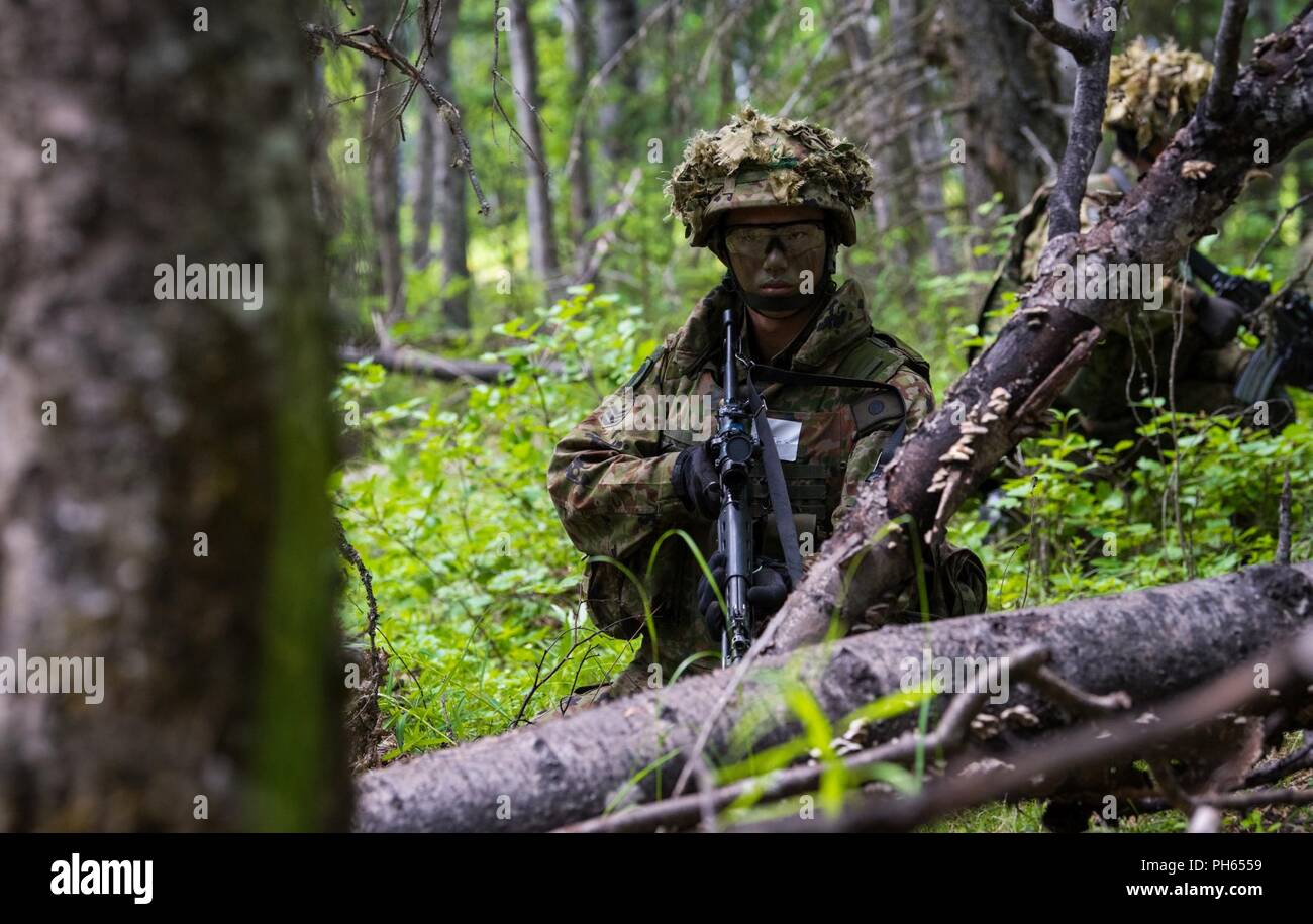 U.S. Army Alaska infantrymen from the 1st Stryker Brigade Combat Team ...