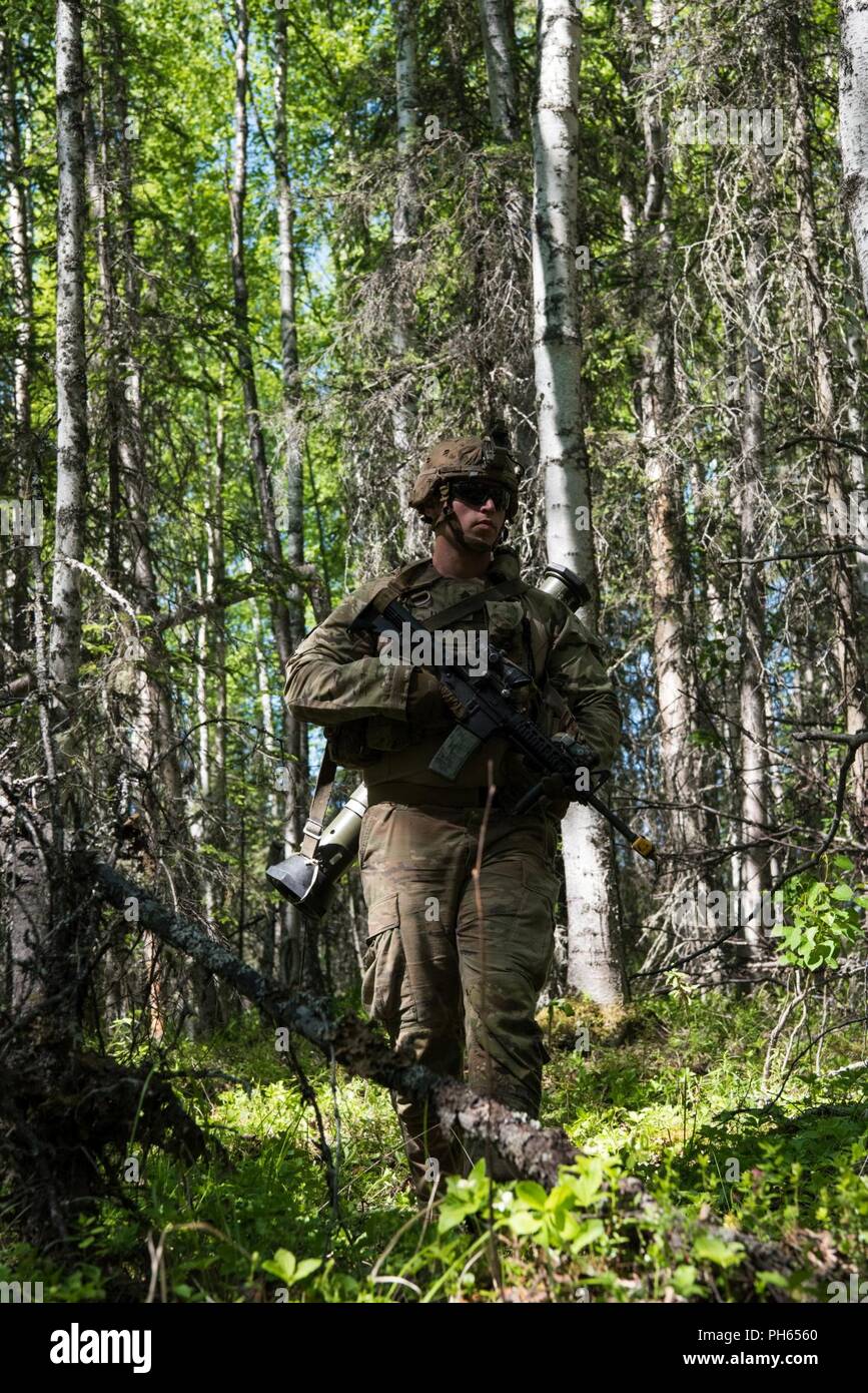 U.S. Army Alaska infantrymen from the 1st Stryker Brigade Combat Team ...