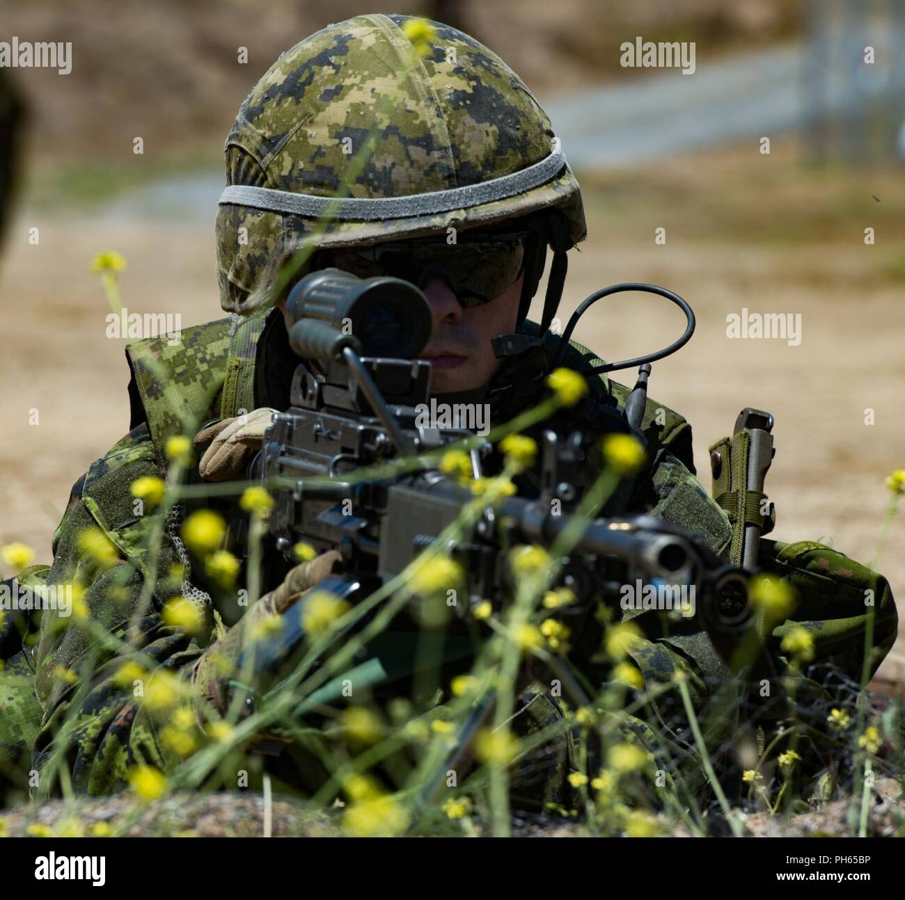 CAMP PENDLETON, Calif. - A member of 2nd Battalion Royal 22e Régiment ...