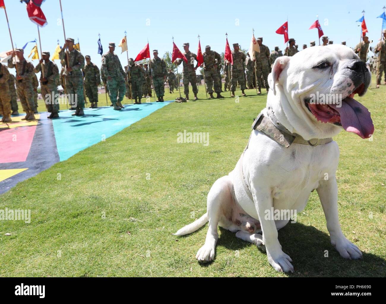 Sgt. 1st Class Cody Chester, outgoing mascot, 3rd Armored Brigade ...