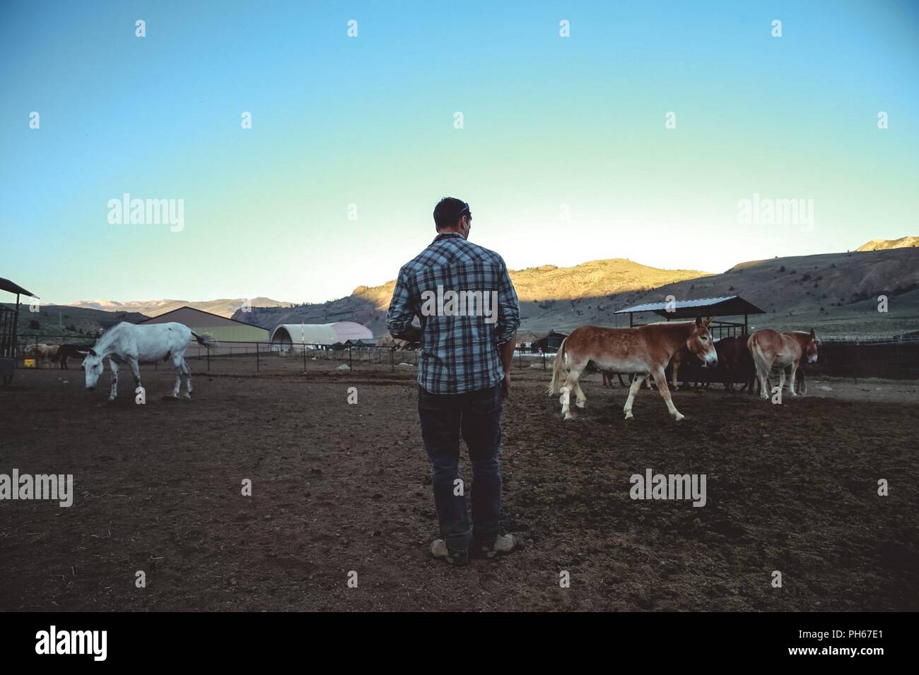 Special forces advanced mountain operations hi-res stock photography ...