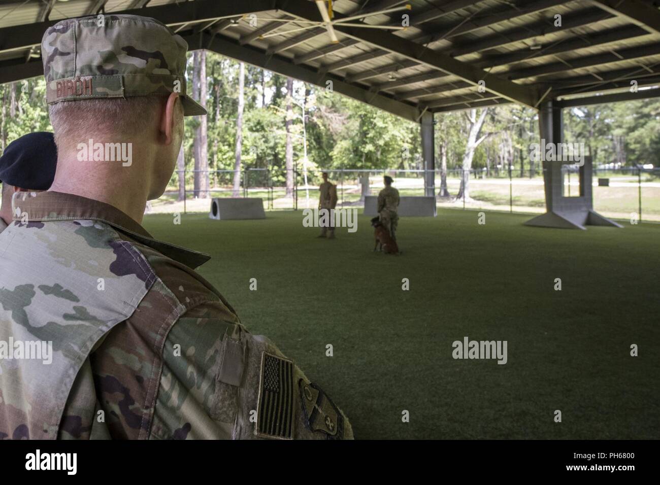 Air ground operations wing hi-res stock photography and images - Alamy
