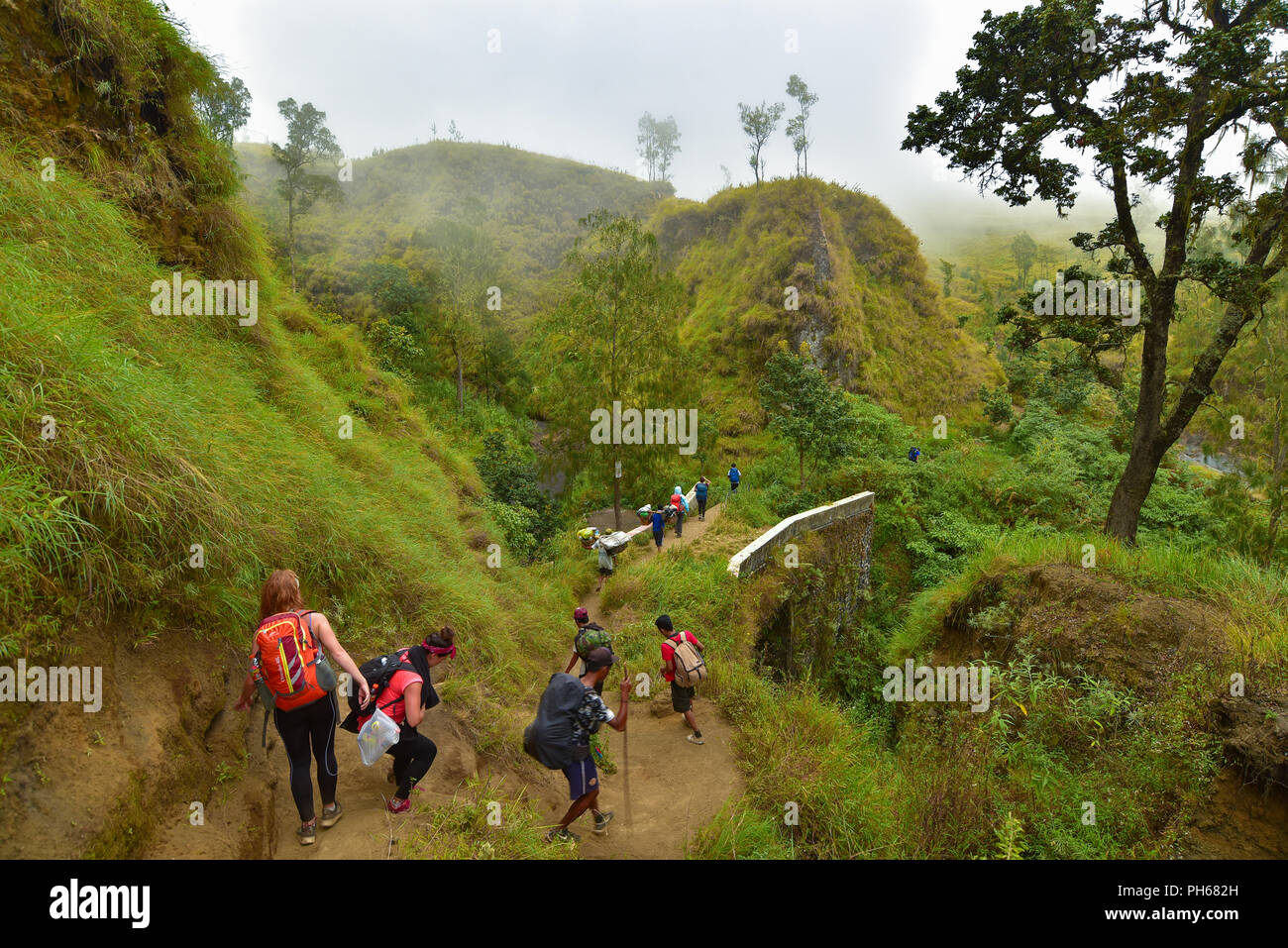 Hiking and Trekking at Mount Rinjani, Lombok, Indonesia Stock Photo - Alamy