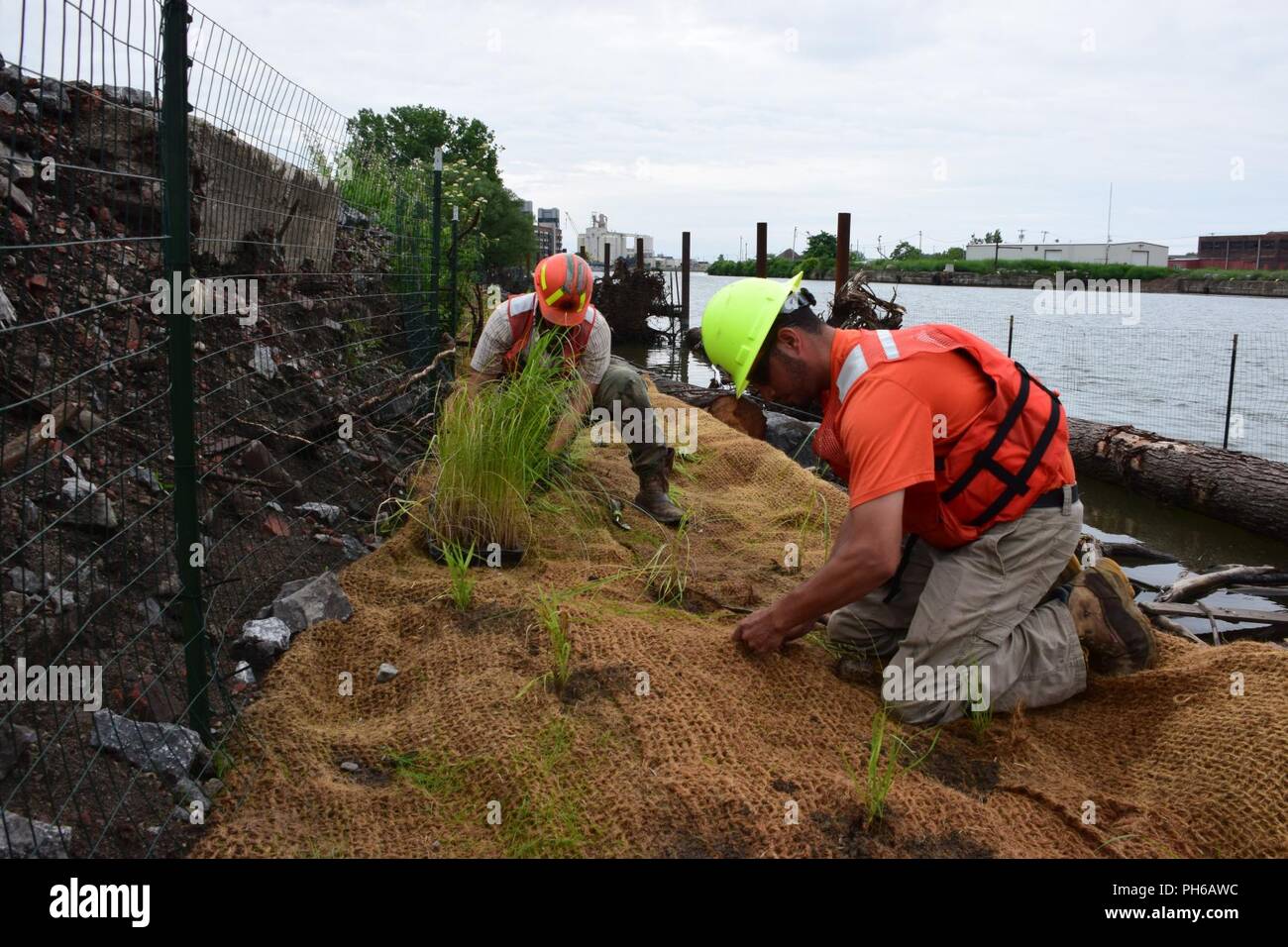 USACE Buffalo contractors planting native species along the Buffalo ...