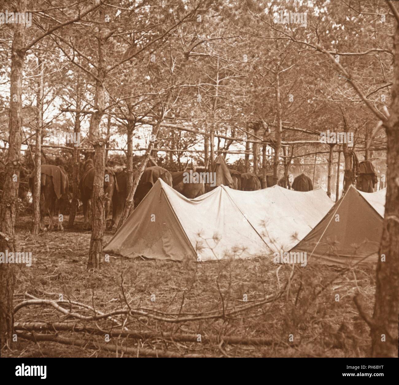 World war i stables hi-res stock photography and images - Alamy