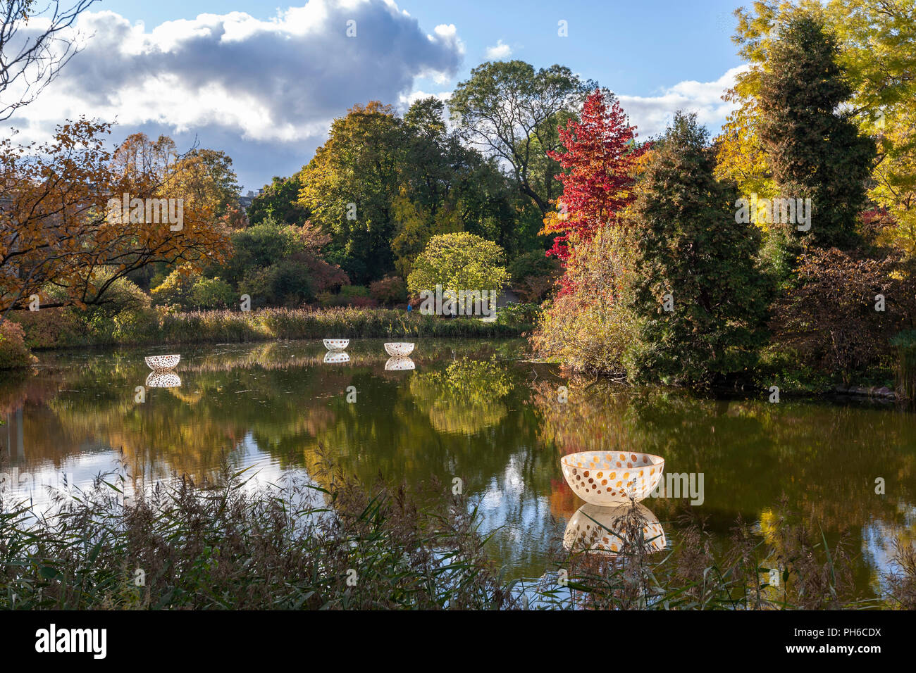 Bowls floating in the lake with autumn trees with colors and yellow and ...