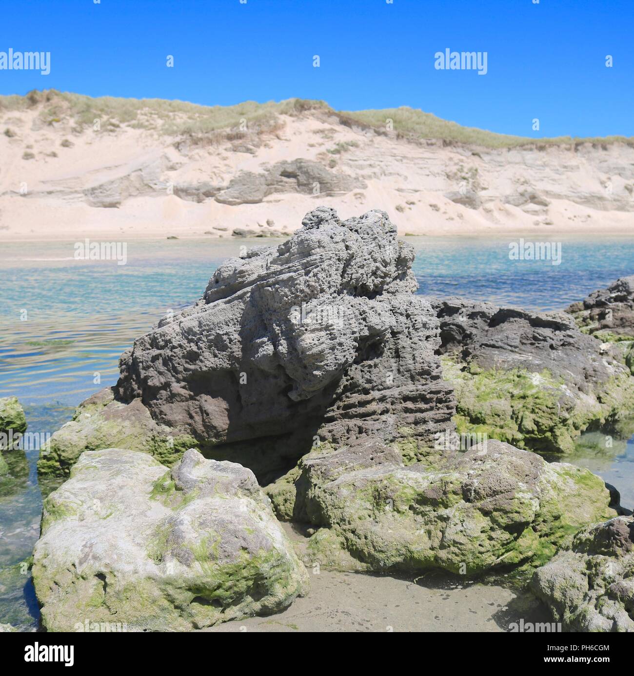Interbedded sandstone/mudstone of Toe Head formation (Barleycove, Cork ...