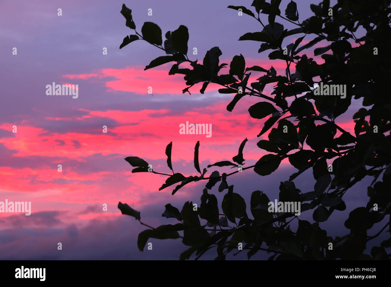 Pink sky at night Stock Photo - Alamy