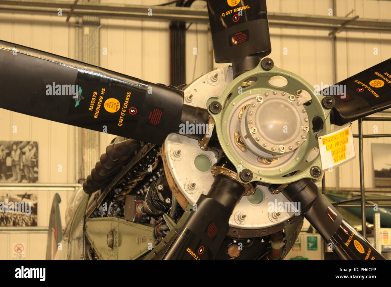 Griffon engine in a Mk 19 Spitfire Stock Photo - Alamy