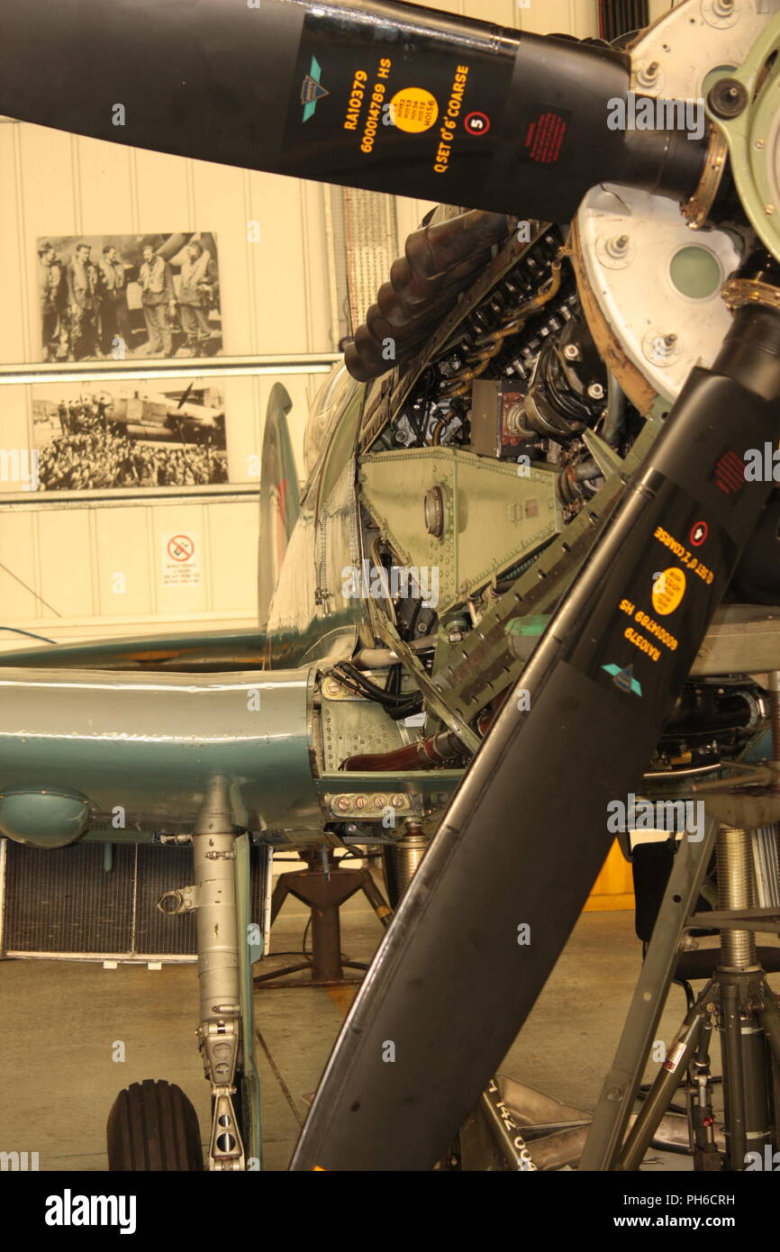 Griffon engine in a Mk 19 Spitfire Stock Photo - Alamy