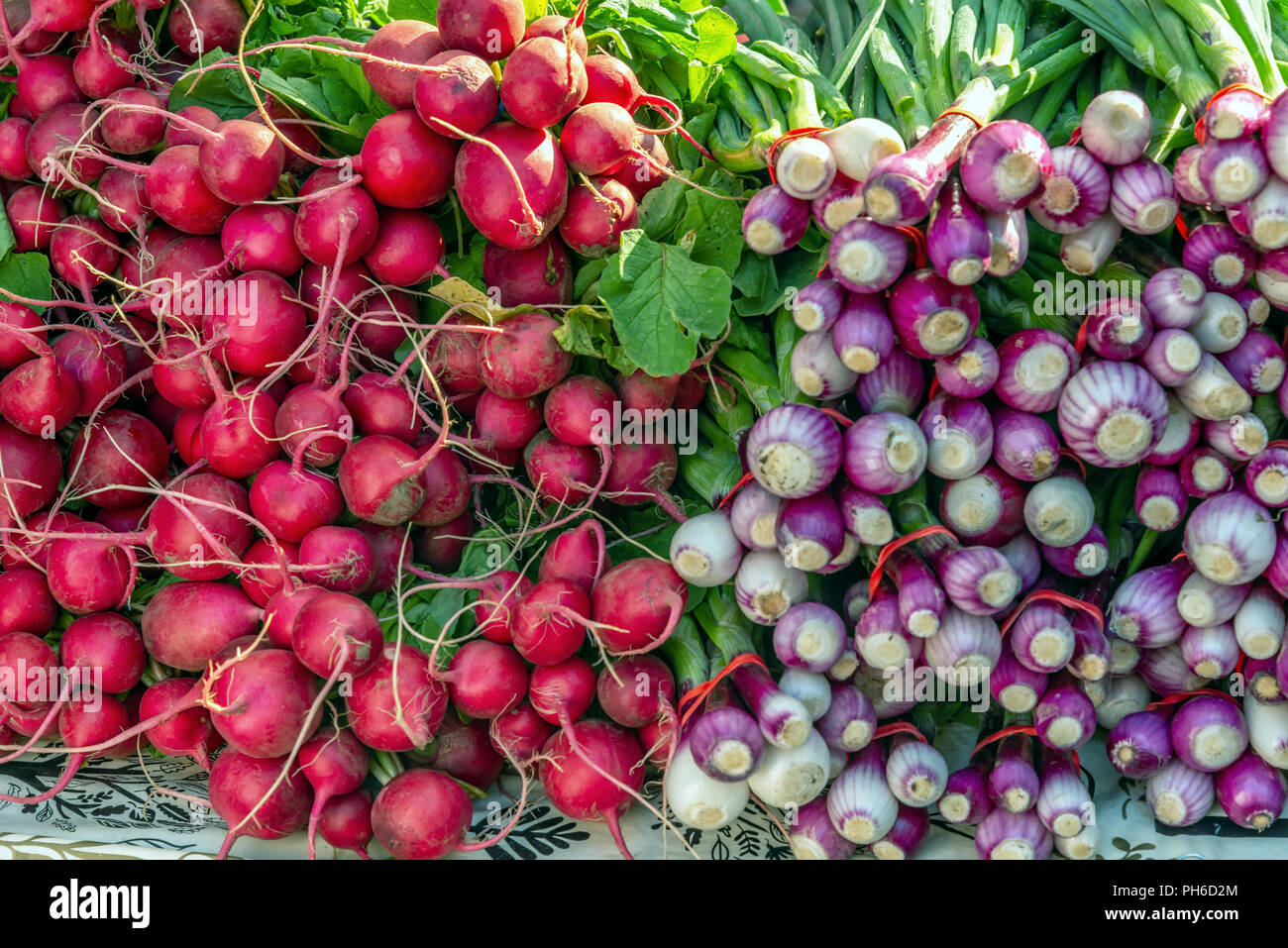 Pile of Radish Stock Photo - Alamy