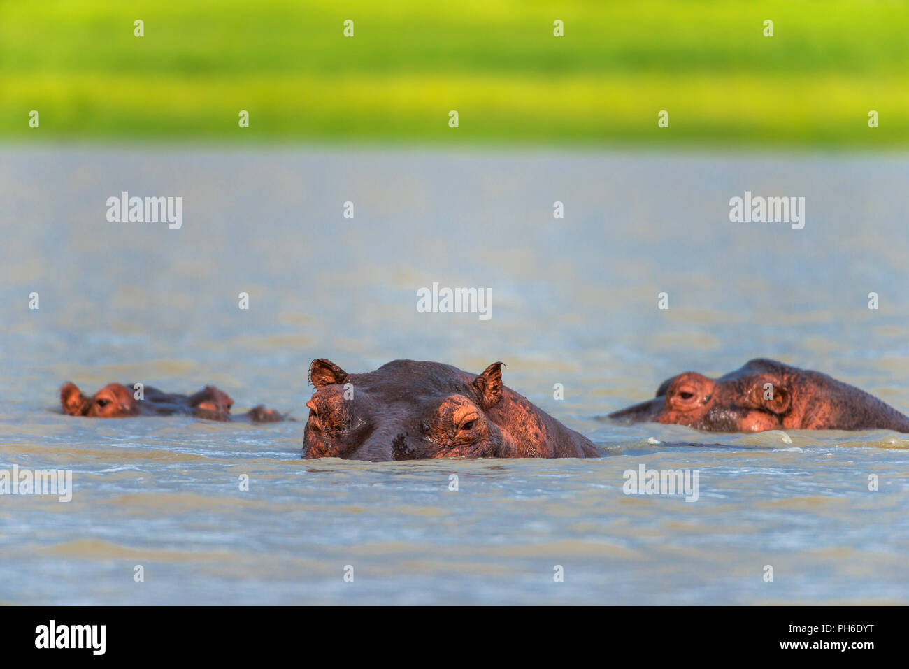 Rufiji river hi-res stock photography and images - Alamy