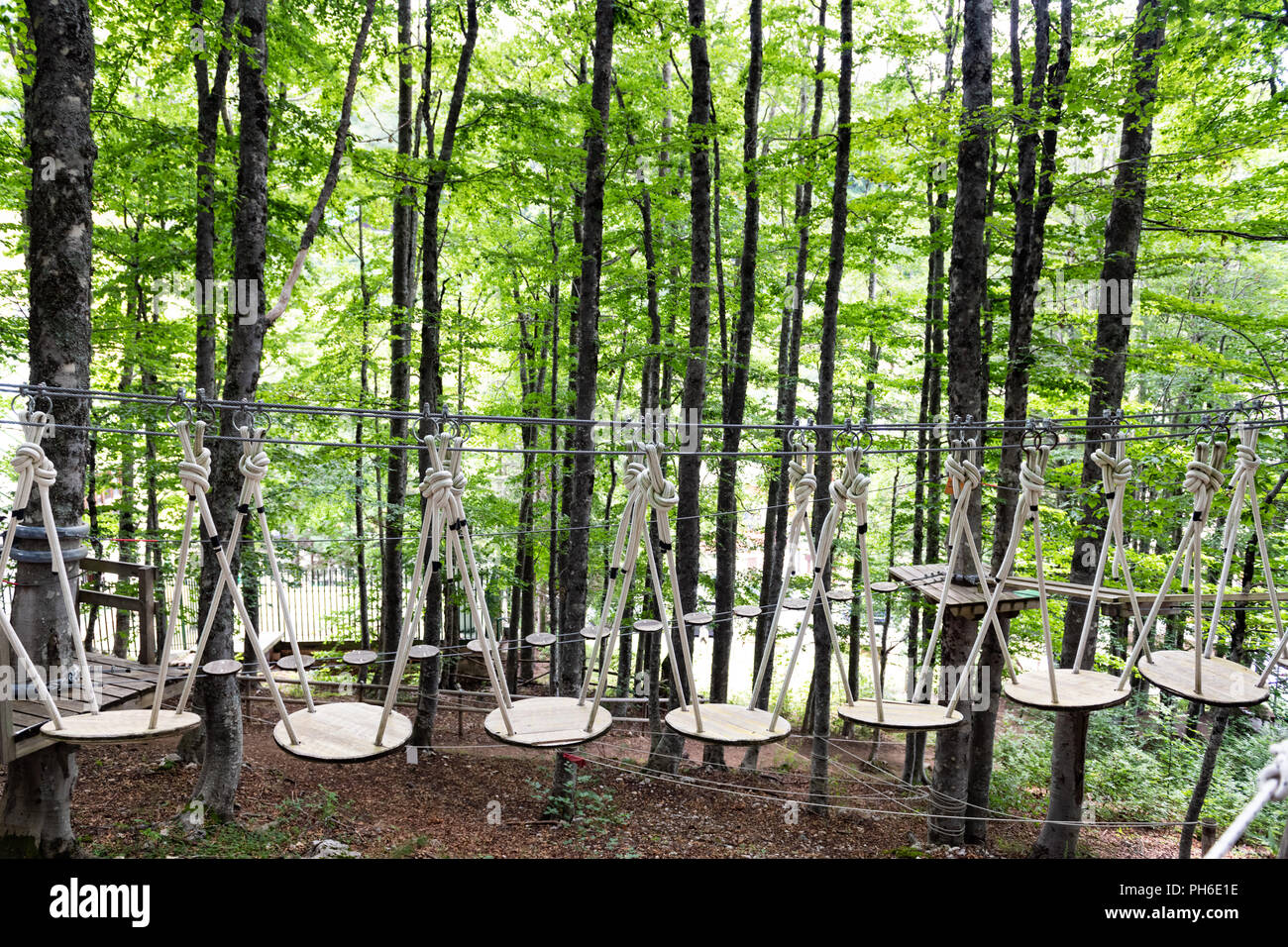 Suspended bridges path in adventure playground in the forest no people ...