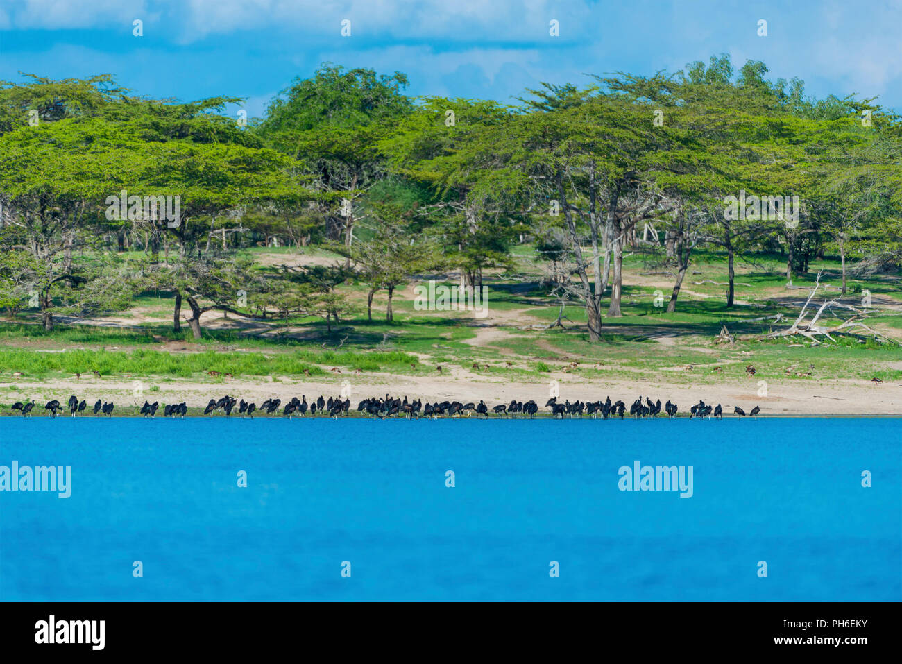 Rufiji river hi-res stock photography and images - Alamy
