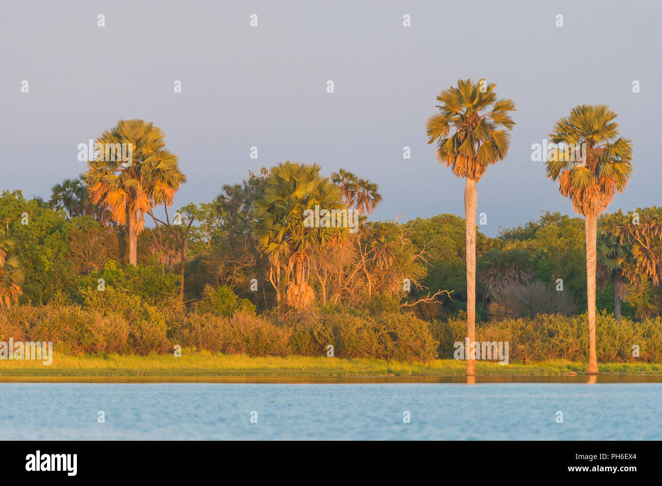 Rufiji river hi-res stock photography and images - Alamy