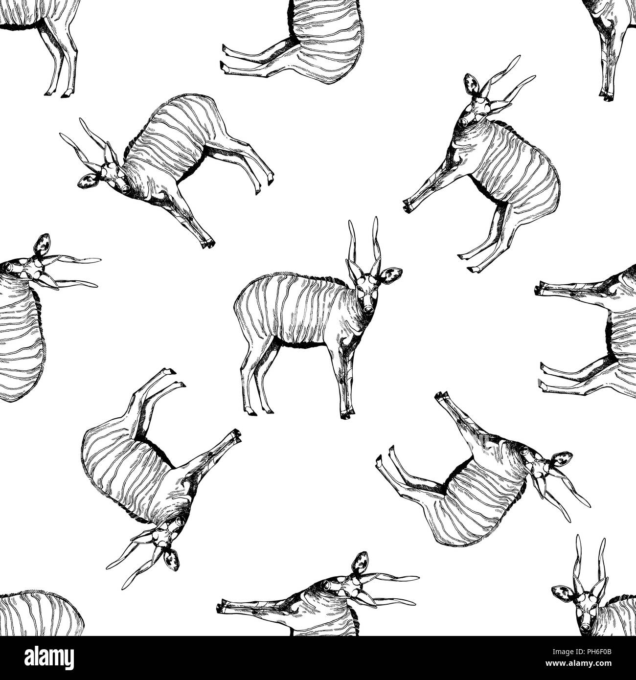 Seamless pattern of hand drawn sketch style bongo antelopes isolated on ...