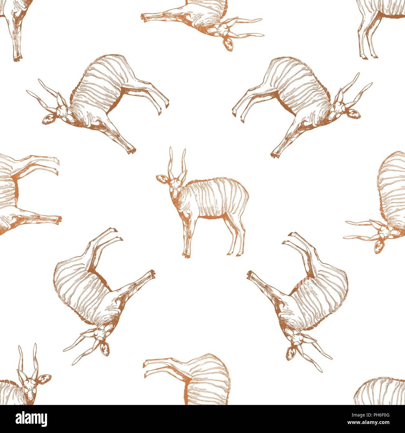 Seamless pattern of hand drawn sketch style bongo antelopes isolated on ...