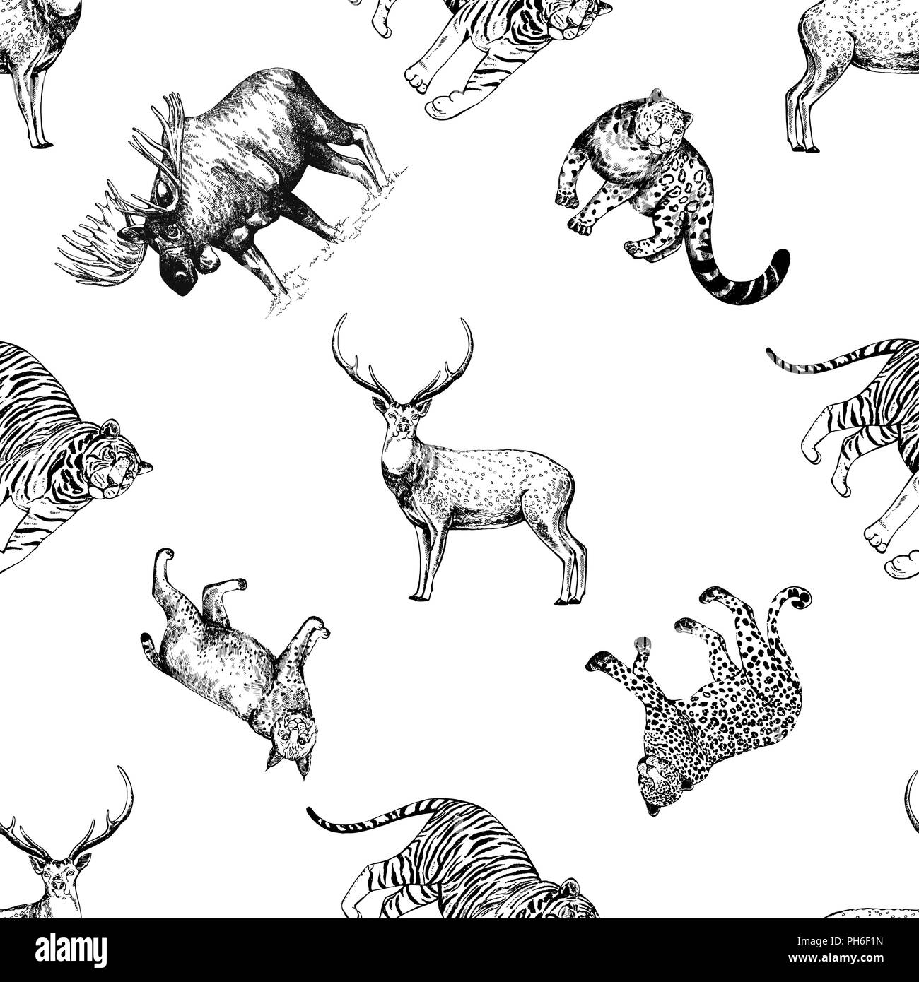 Seamless pattern of hand drawn sketch style ungulates and big cats ...