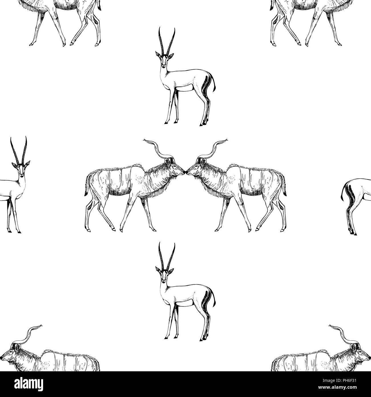 Seamless pattern of hand drawn sketch style lesser kudu antelope and ...