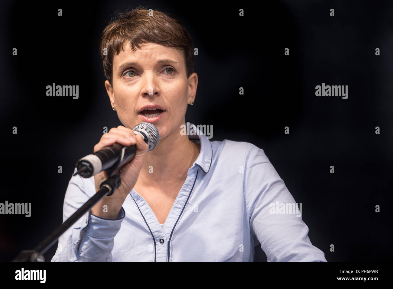 Frauke petry hi-res stock photography and images - Alamy