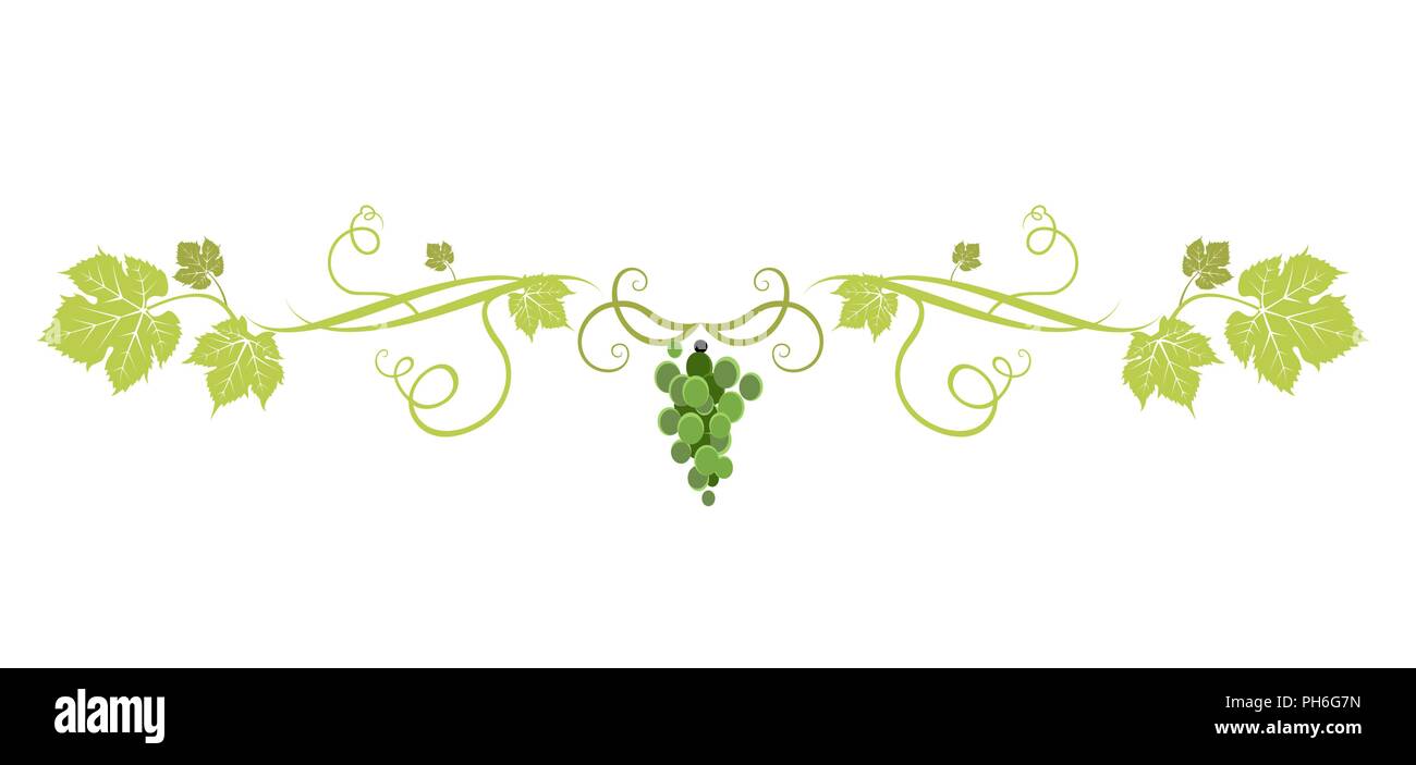 Lush green vine Stock Vector Images - Alamy