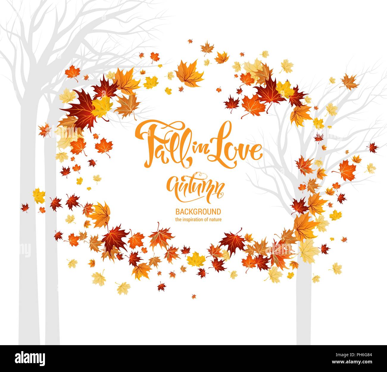 Tree leaves in fall Stock Vector Images - Alamy