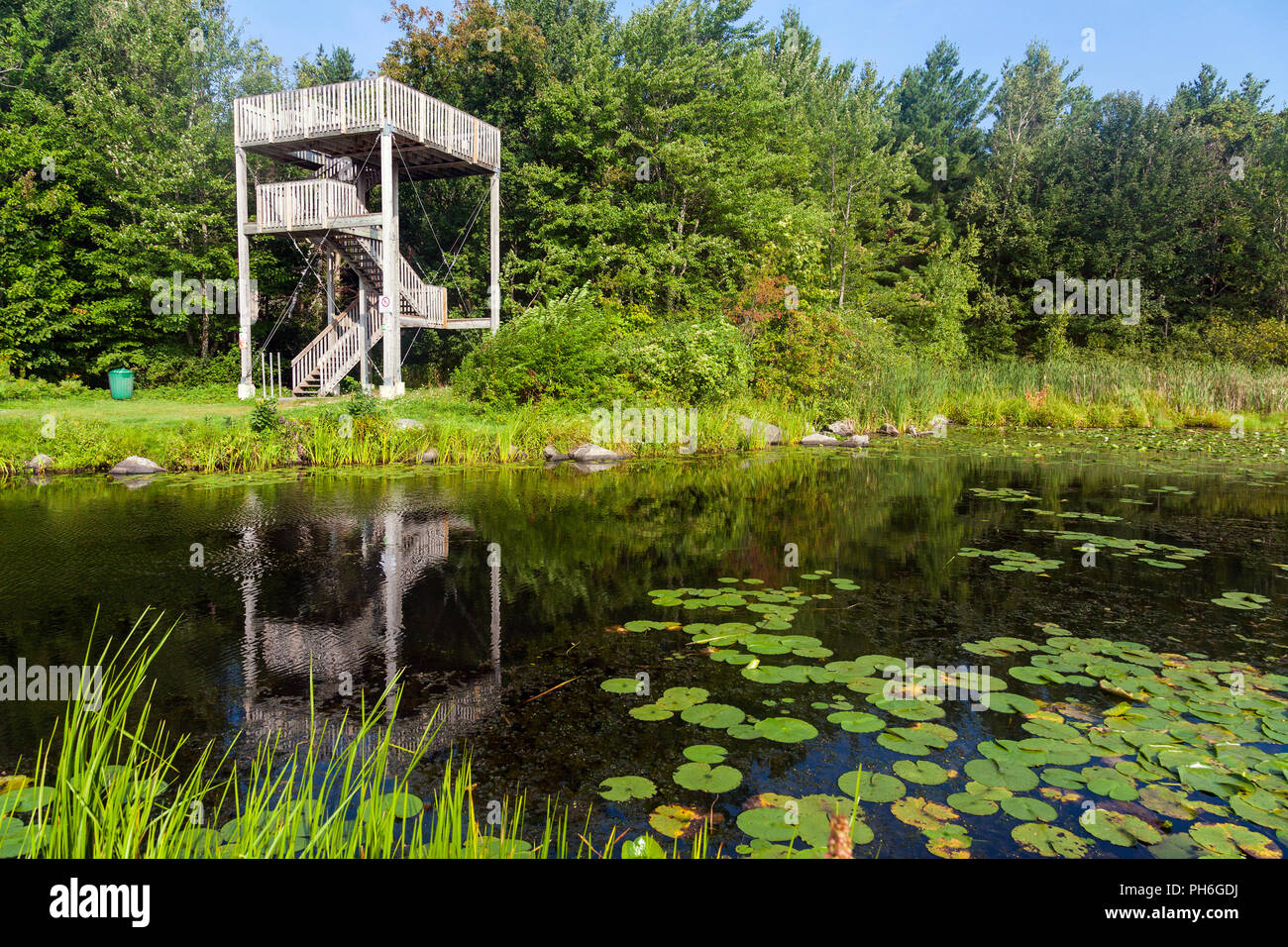One of two observation towers built for watching wildlife and nature ...