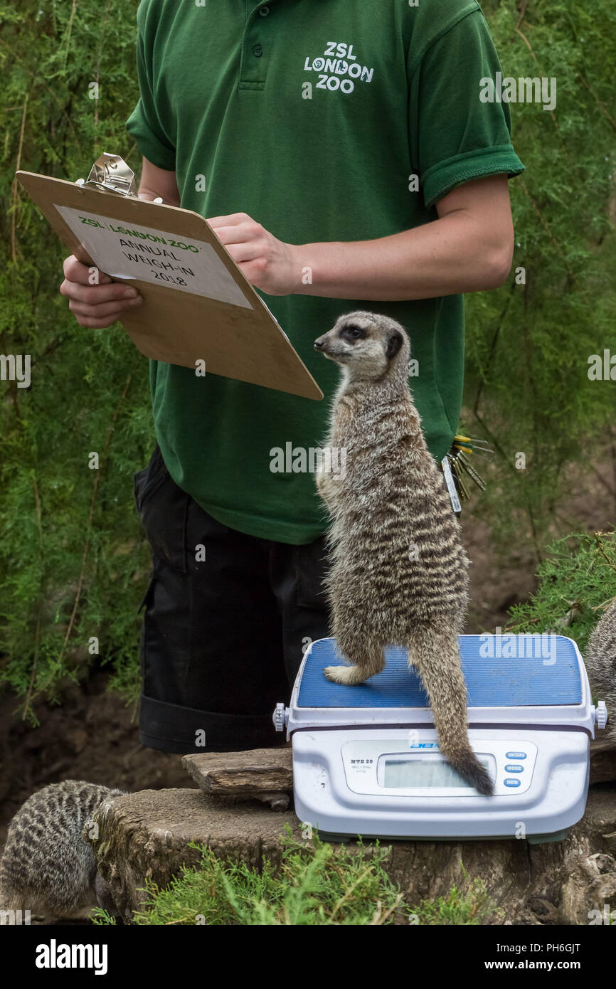 Annual statistics hi-res stock photography and images - Alamy