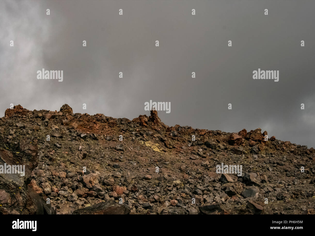 Scree gravel border hi-res stock photography and images - Alamy