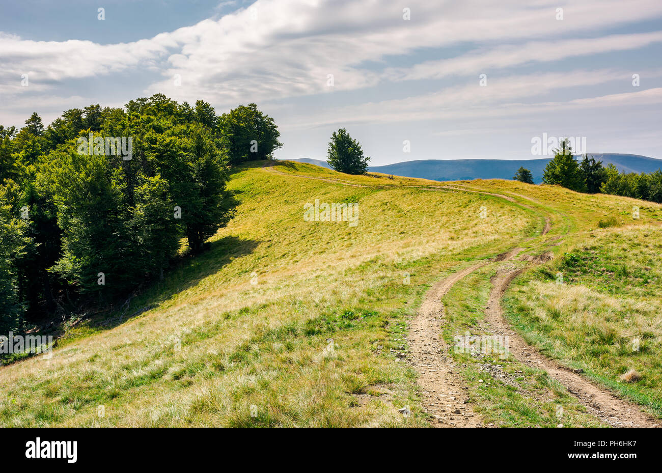 winding path uphill in to the forest. lovely summer scenery Stock Photo ...