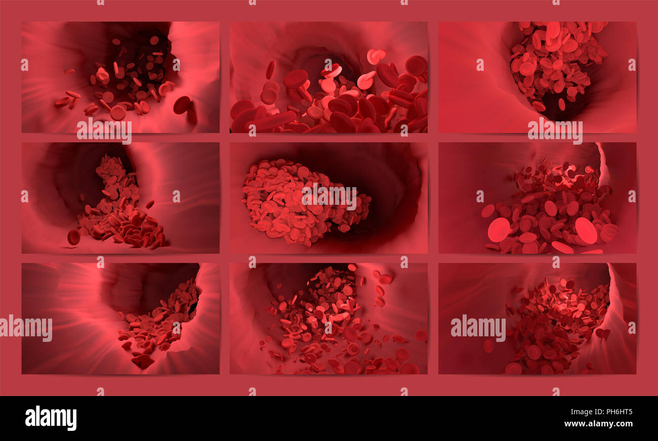 Red blood cell in blood vessel of body. Science graphic for education ...