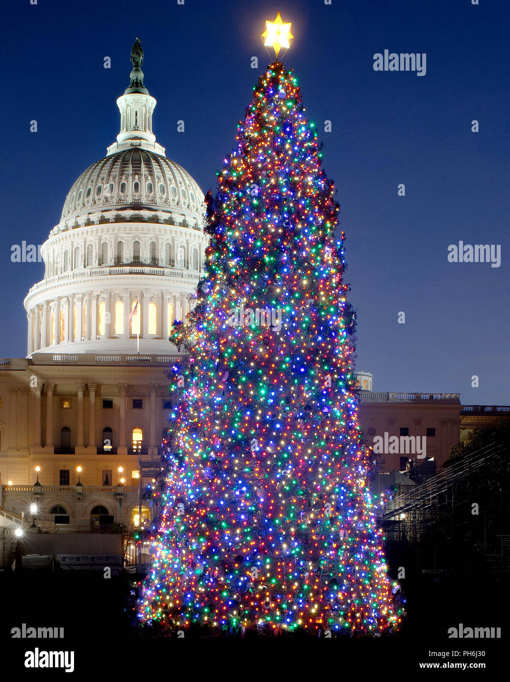 This year’s tree — a 65-foot Engelmann spruce — is from the Blanco ...