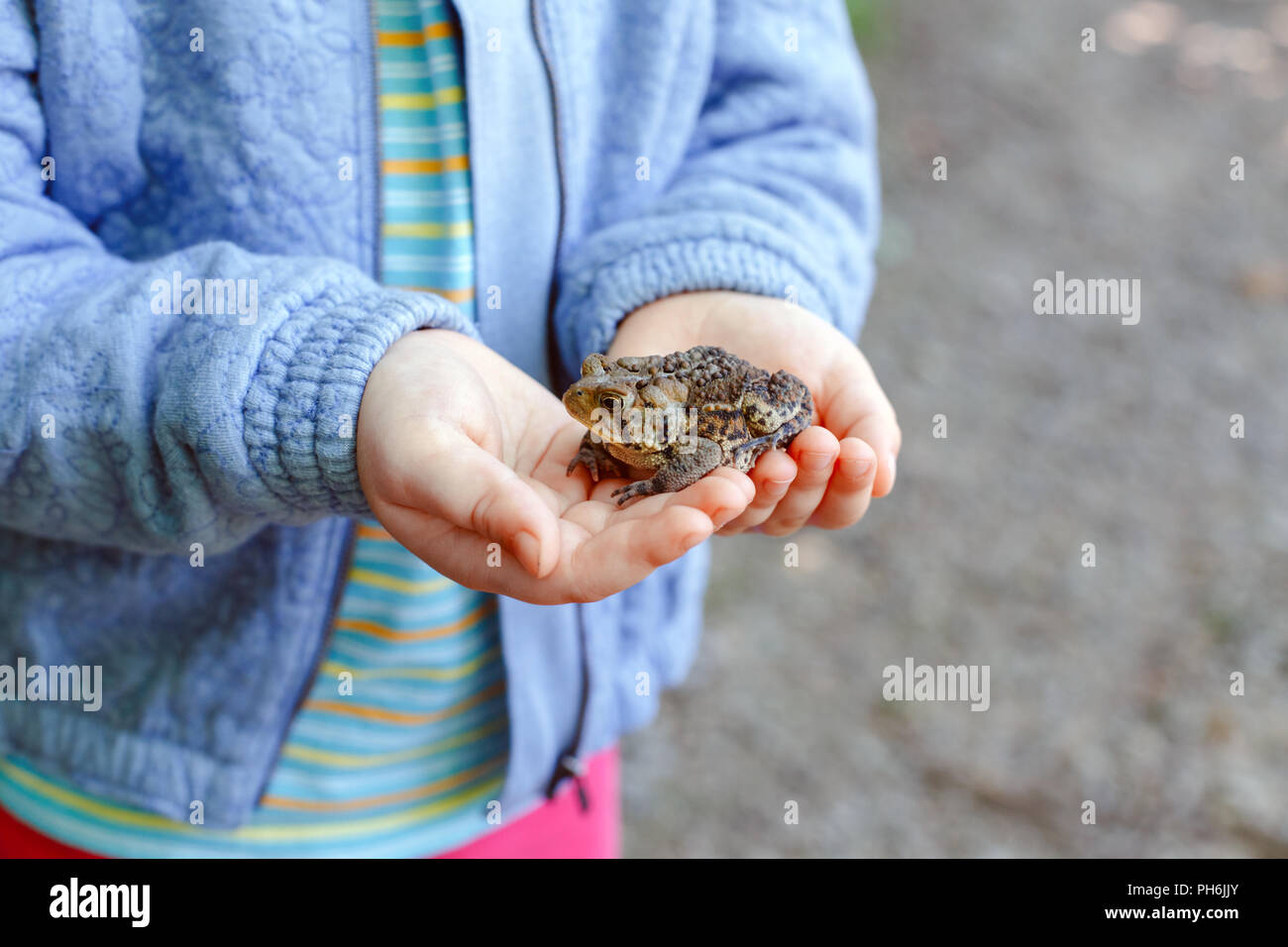 Kid hand holding frog hi-res stock photography and images - Alamy