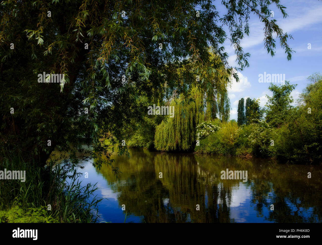 Tree lined banks of the river Seine, Normandy, France Stock Photo - Alamy