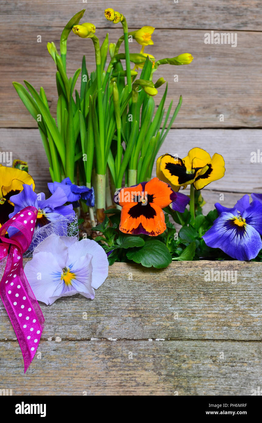 Spring flowers wood background Stock Photo - Alamy