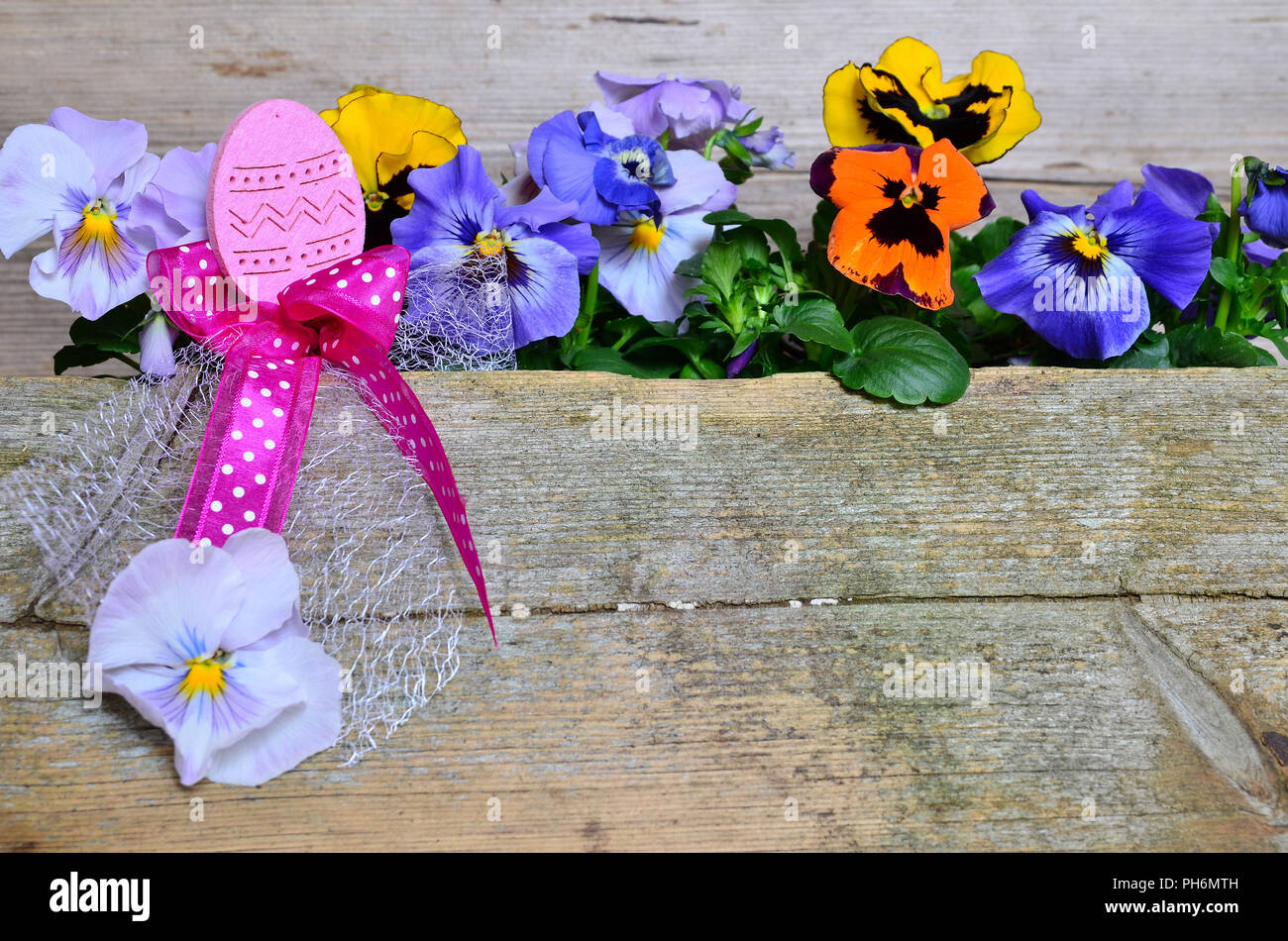 Spring flowers wood background Stock Photo - Alamy