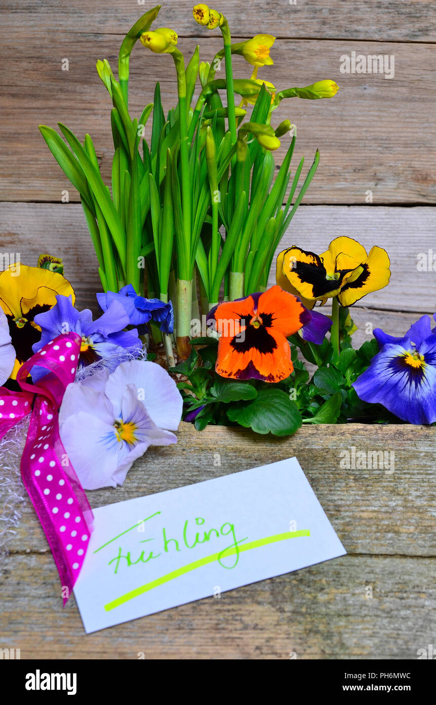 Spring flowers wood background Stock Photo - Alamy