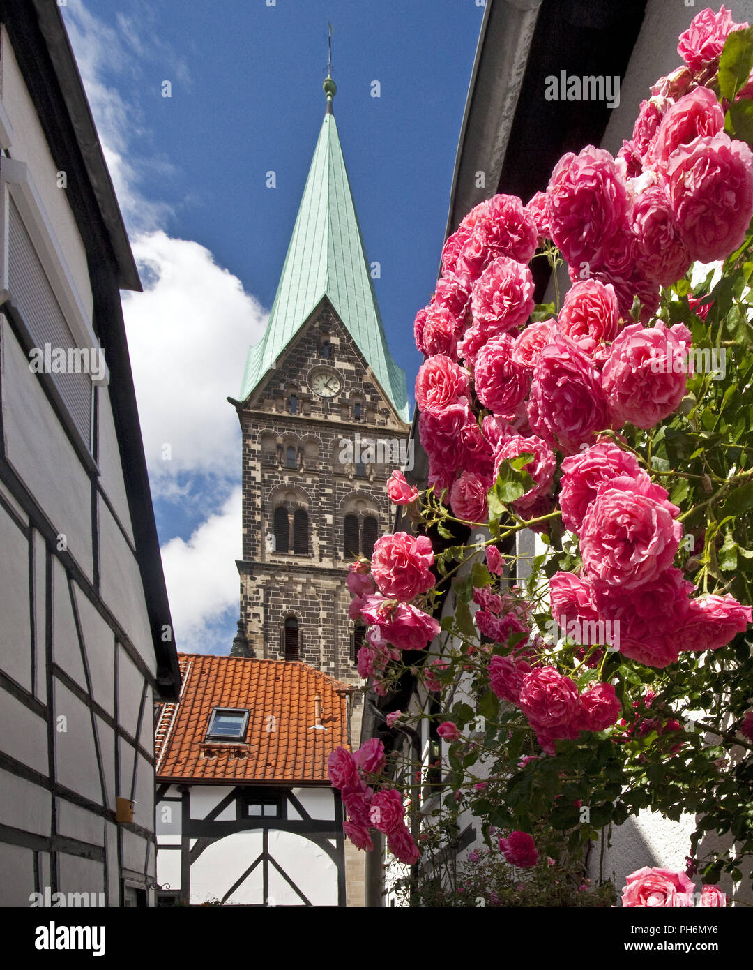 Herten hi-res stock photography and images - Alamy