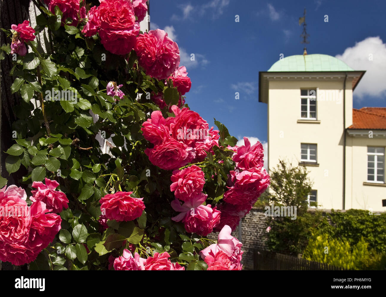 In the old village Westerholt, Herten, Germany Stock Photo - Alamy