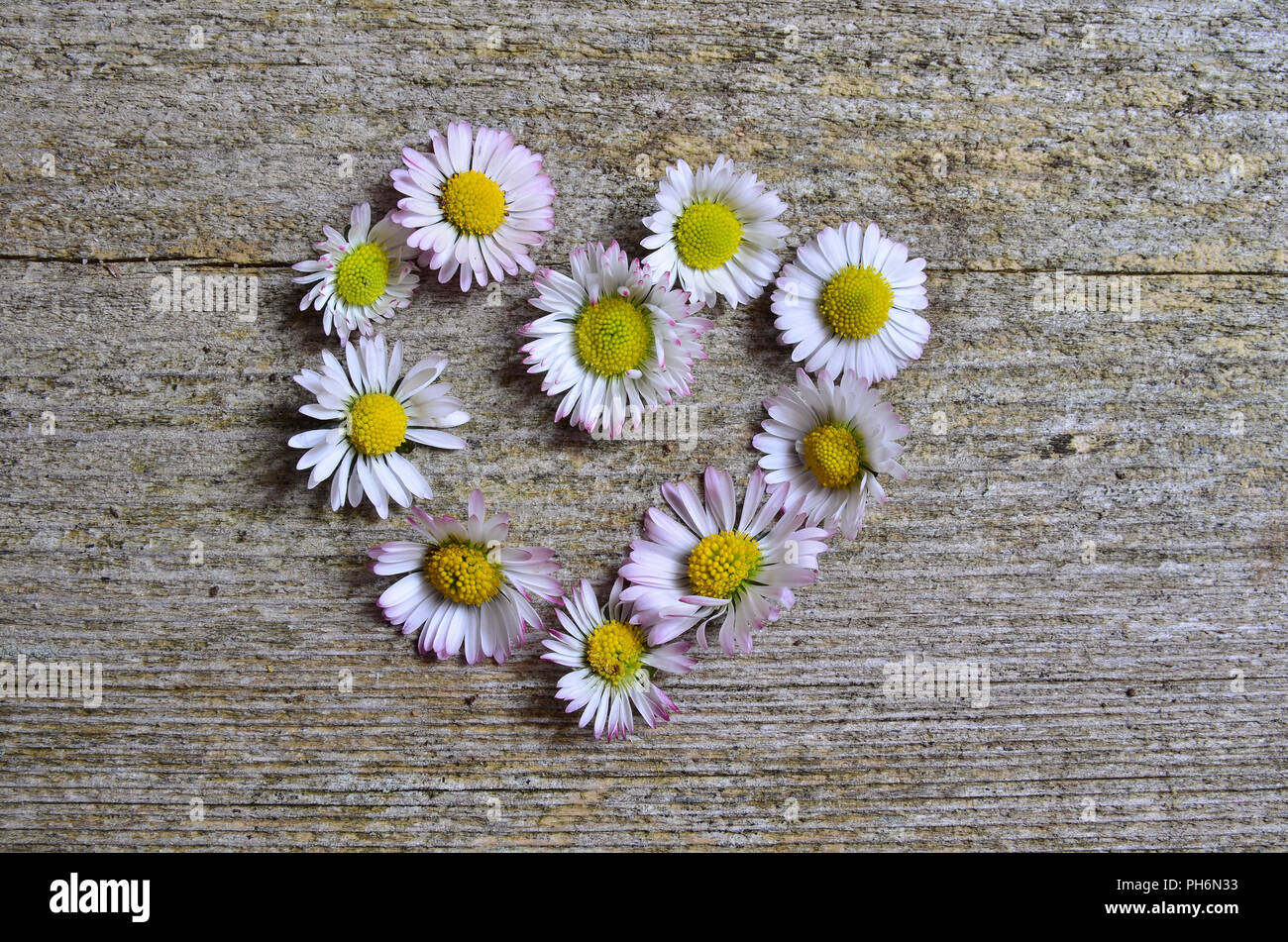 Daisy wooden background Spring Heart Stock Photo - Alamy