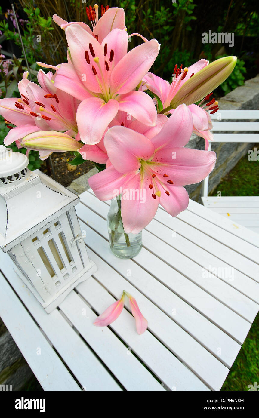 Farmhouse garden spring hi-res stock photography and images - Alamy