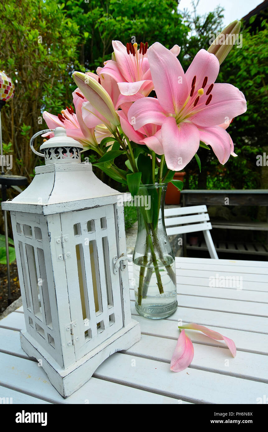 pink lily garden Early Spring shabby chic Stock Photo - Alamy
