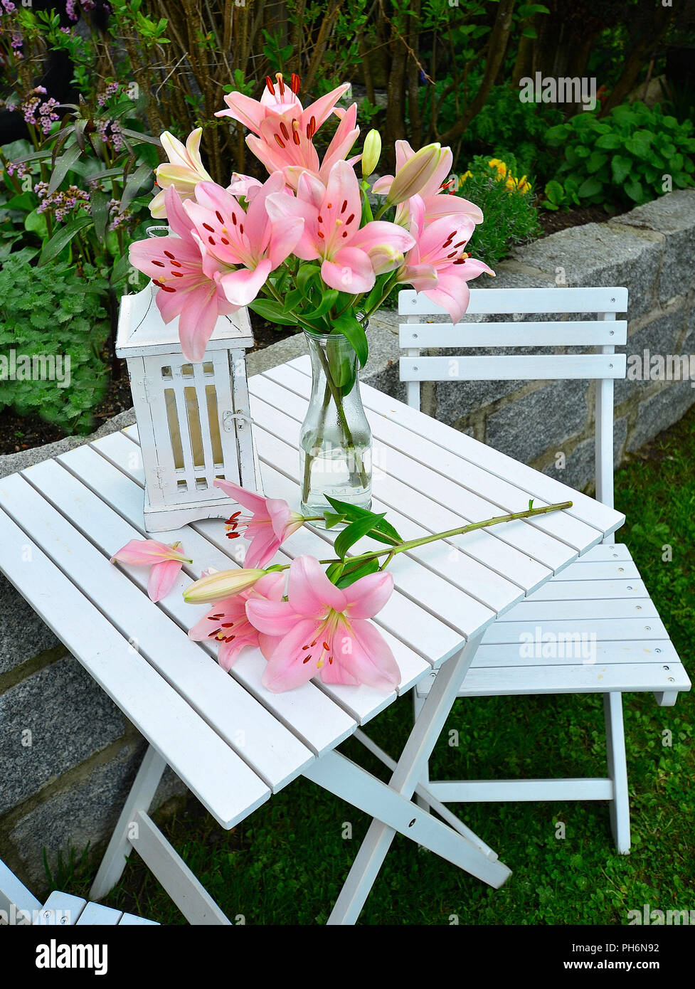pink lily garden Early Spring shabby chic Stock Photo - Alamy