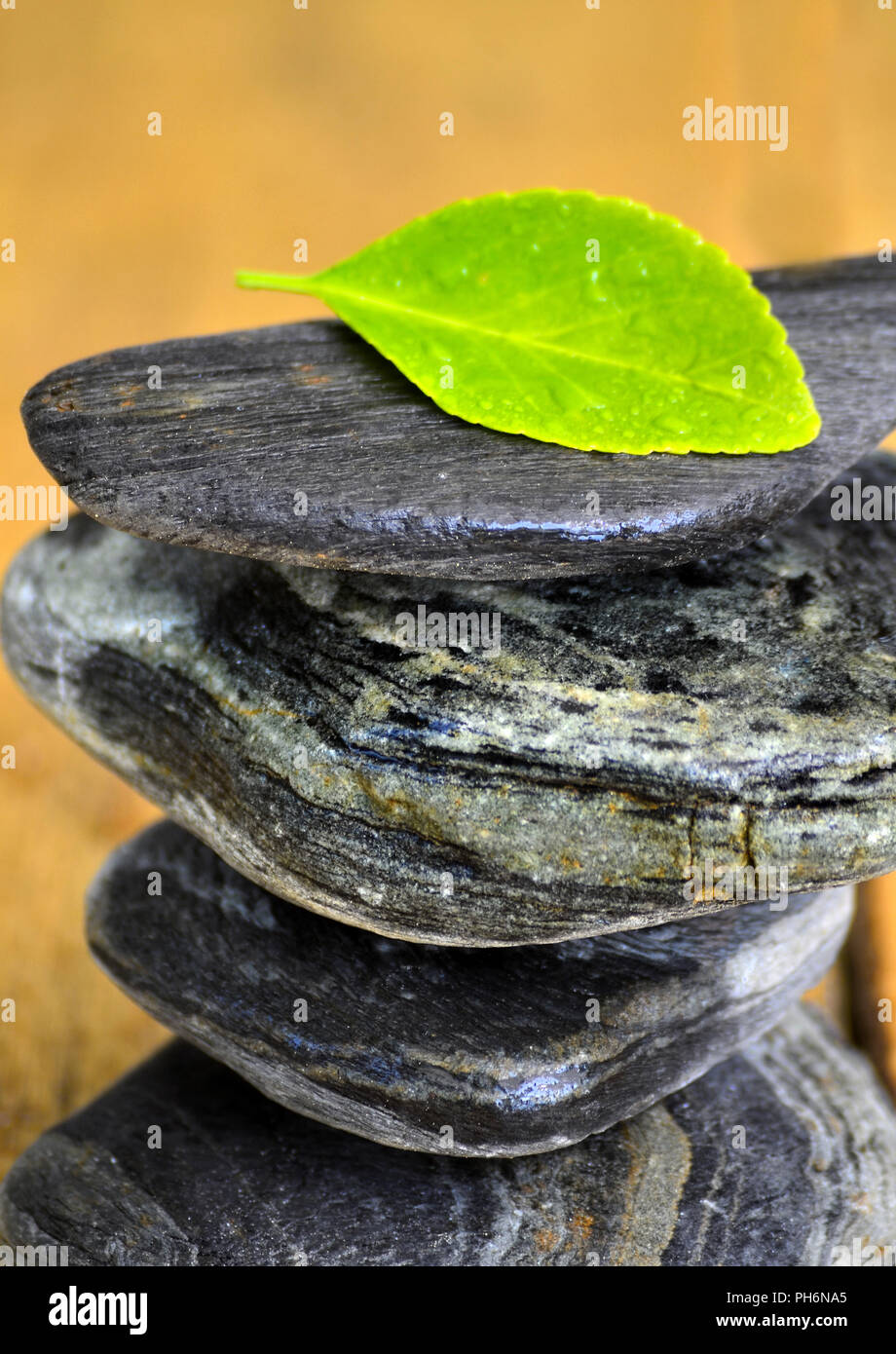 Wellness flower hi-res stock photography and images - Alamy