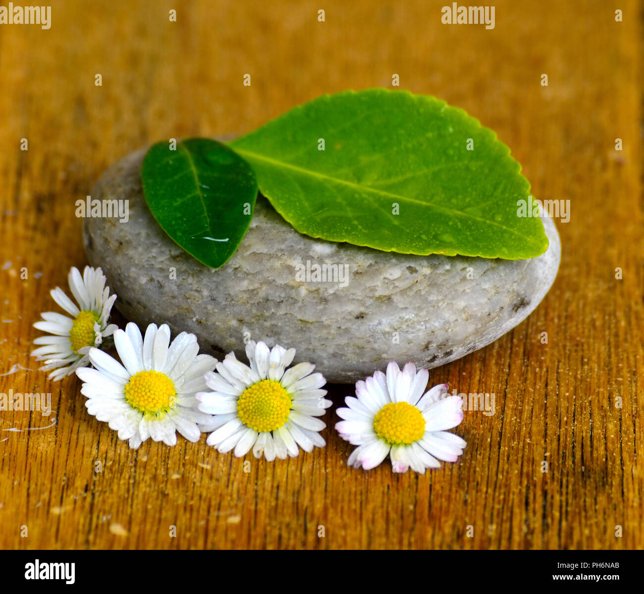 Wellness stones Balance Flower Stock Photo - Alamy