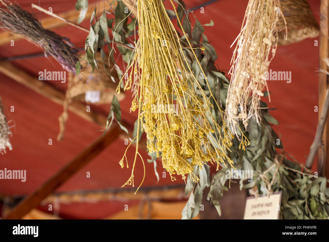 Sample garden hi-res stock photography and images - Alamy