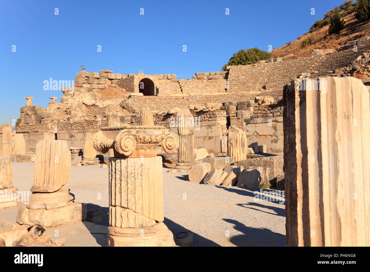 Ephesus ruins in turkey Stock Photo - Alamy